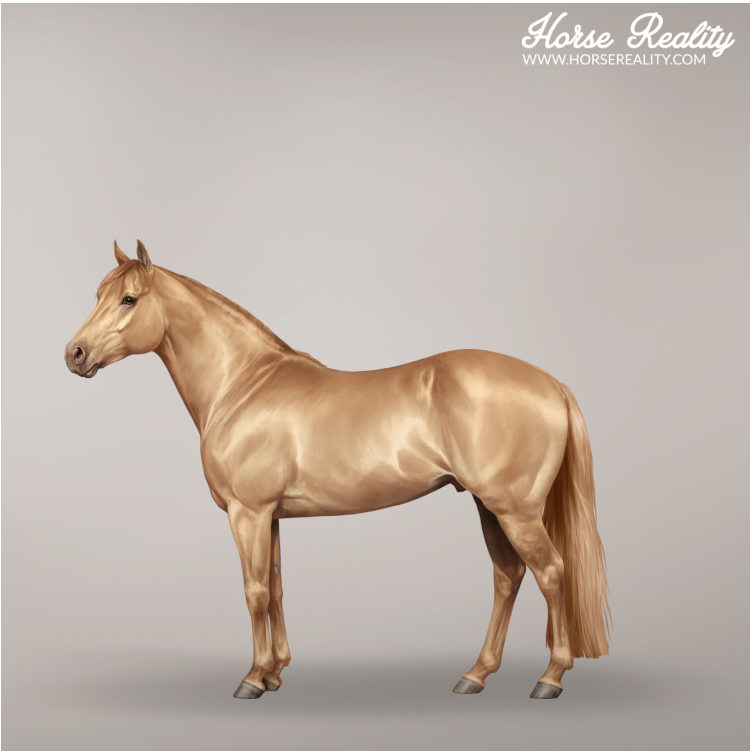 Chestnut pearl